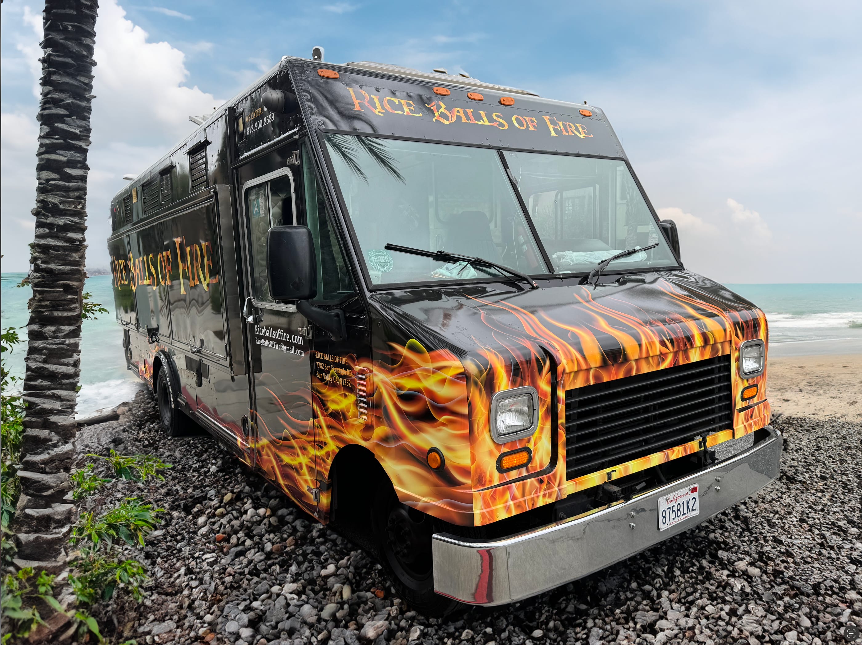 Best Food Trucks | Rice Balls of Fire